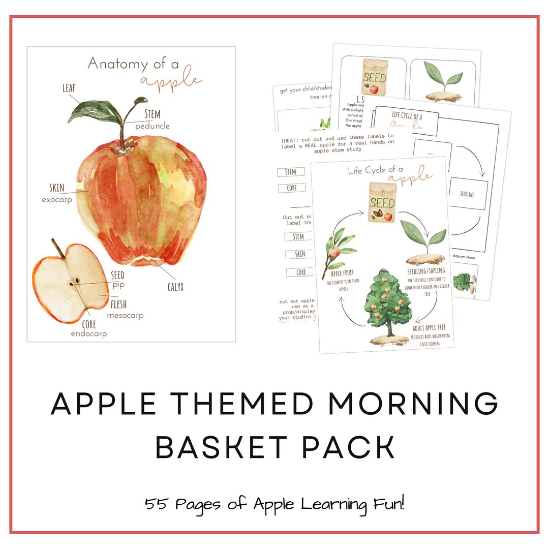 Apple Themed Educational Literacy Morning Basket Printable, Early ...