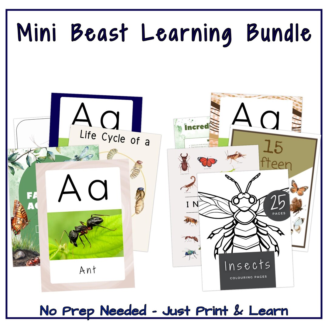 Mini Beast Activity Bundle | Insect Printables PDF | ABC Flashcards ...