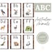 AUSTRALIAN ANIMAL ABC Posters | Vibrant Classroom Decor | Australian ...