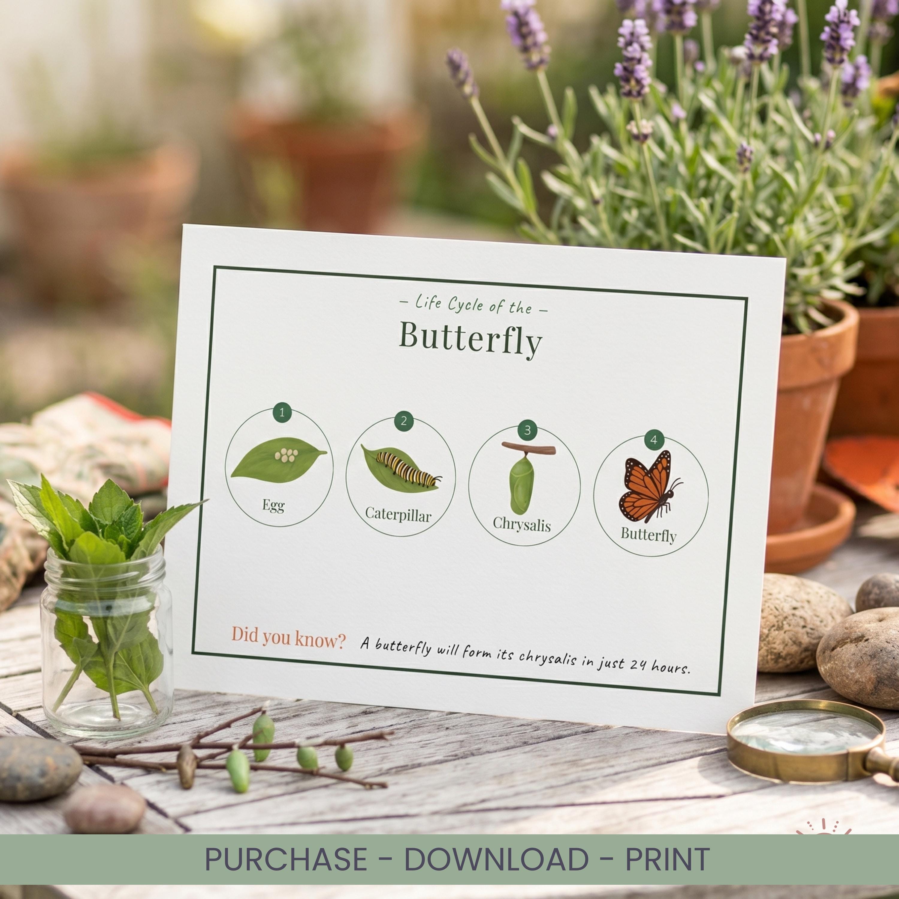 Insect Playdough Mats Printable, Bug Activities for Preschool, Insect ...