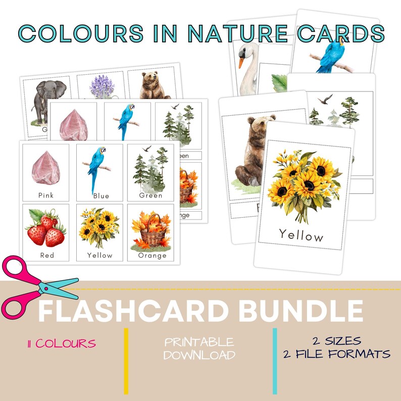 Editable Nature-themed Color Flashcards | Montessori Toddler Learning ...
