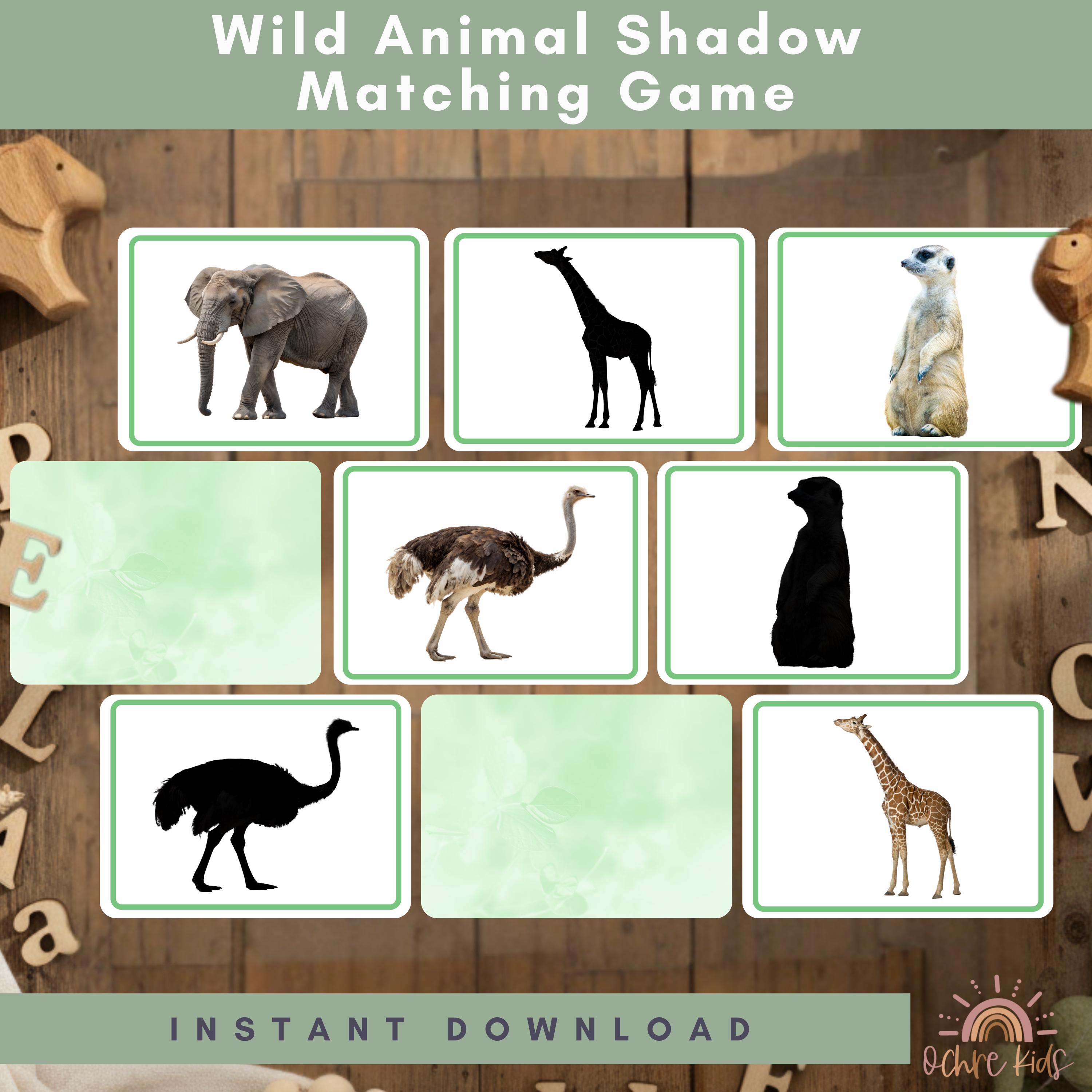 African Animal Shadow Matching Game for Kids | Printable Safari ...