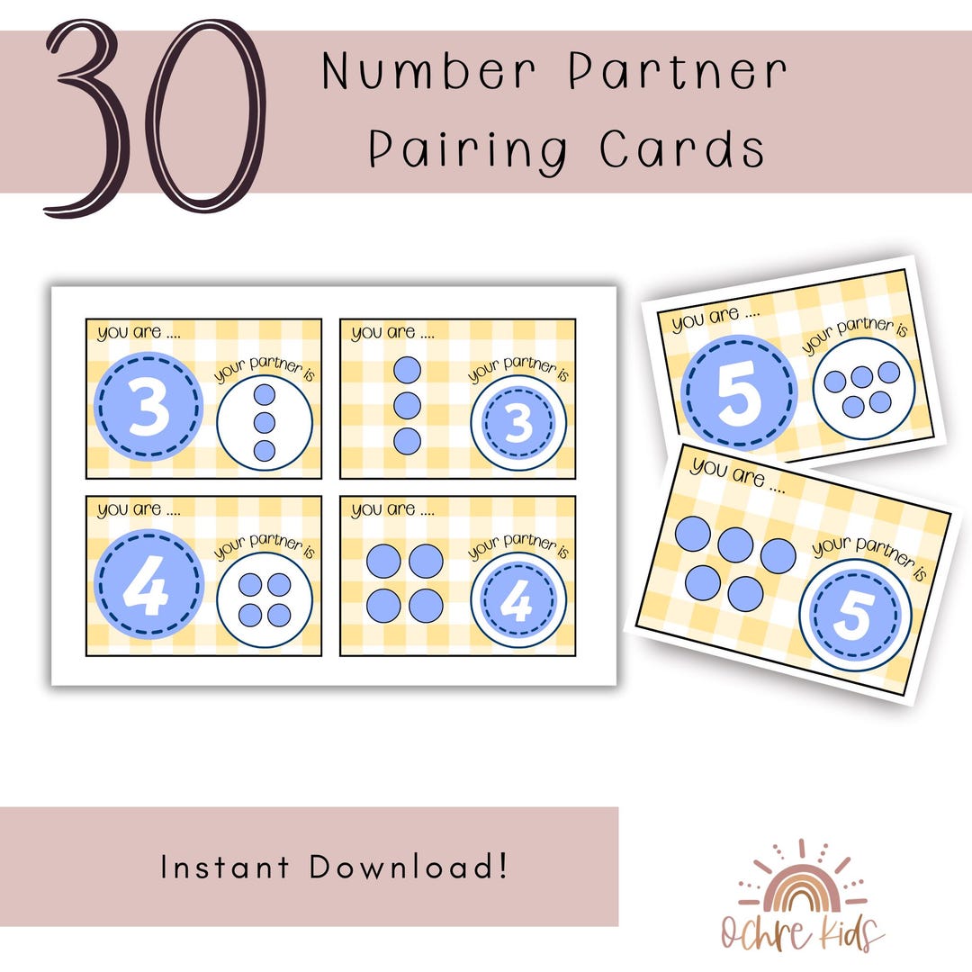 Gingham Partner Pairing Cards: Classroom Number Activity (PDF & PNG) - Etsy