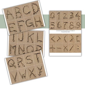 Ocean Posters & Flash Cards Pack | Sea Animal Facts, Early Learning ...