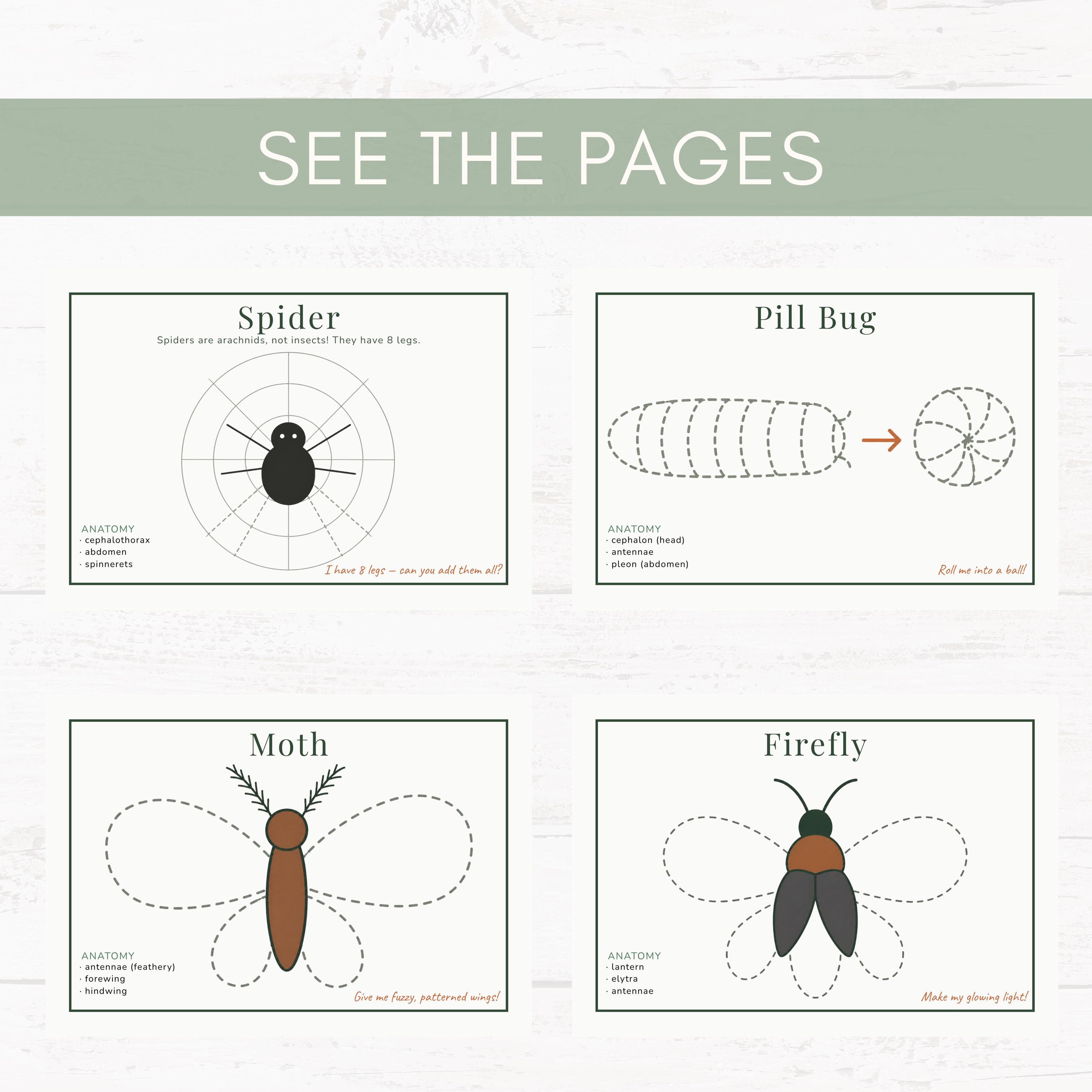 Insect Playdough Mats Printable, Bug Activities for Preschool, Insect ...