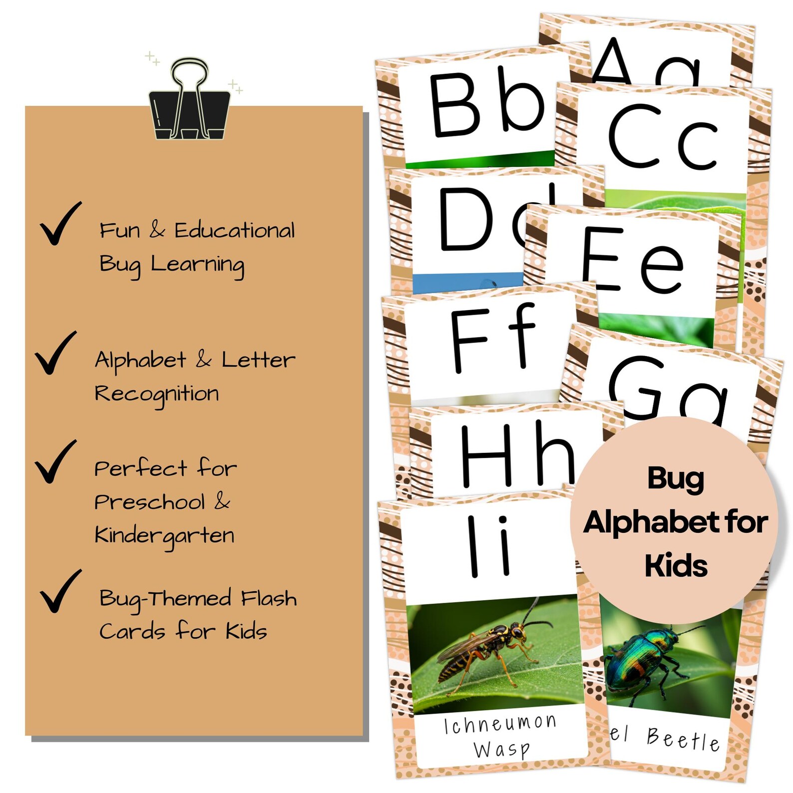 A-Z Insect & Bug Alphabet Flashcards – Natural Background | Montessori ...