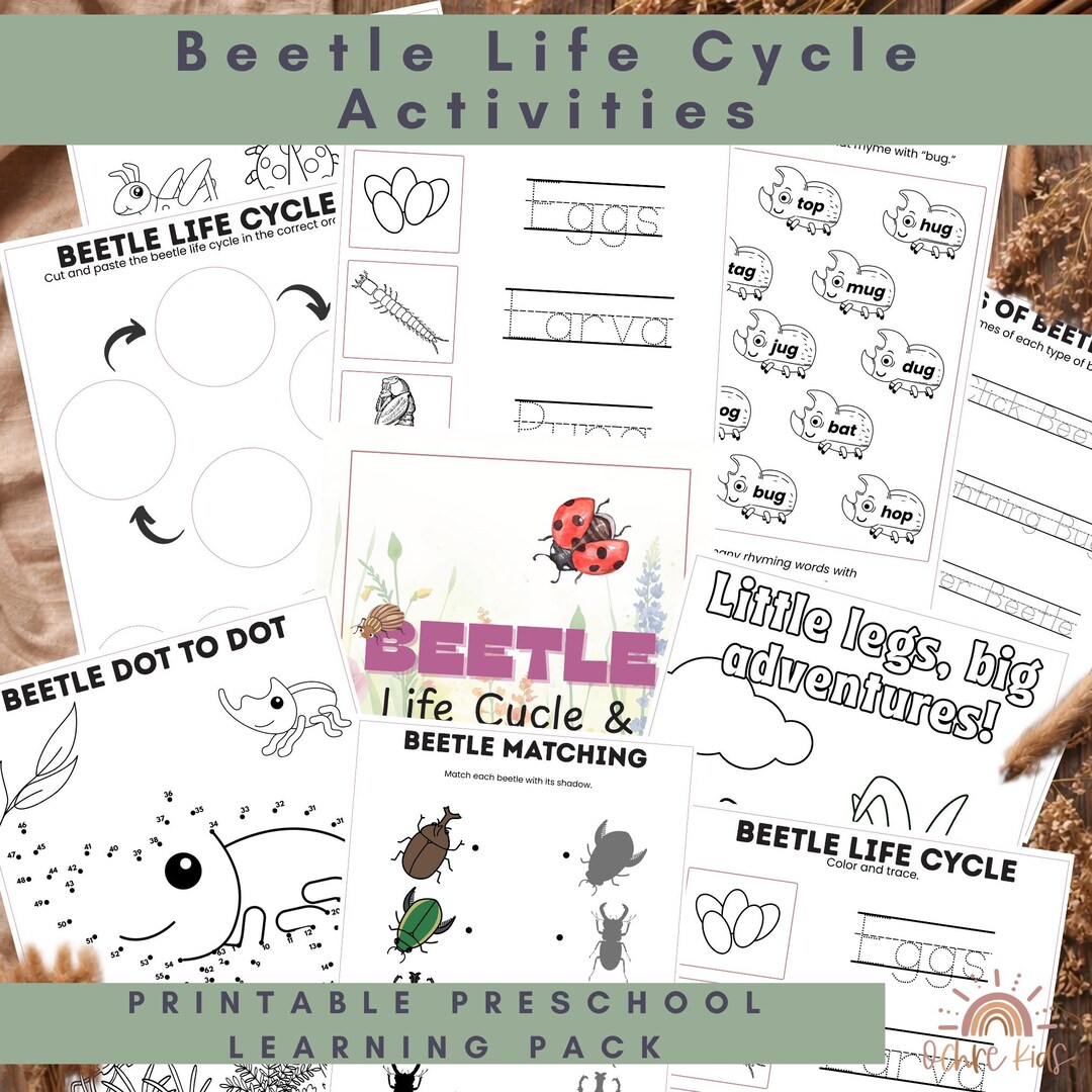 Beetle Life Cycle Activities Printable | Insect Science Worksheets for ...