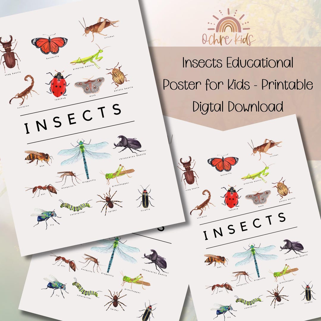 Insects Poster for Kids Printable for Classroom Decor Bug Themed ...