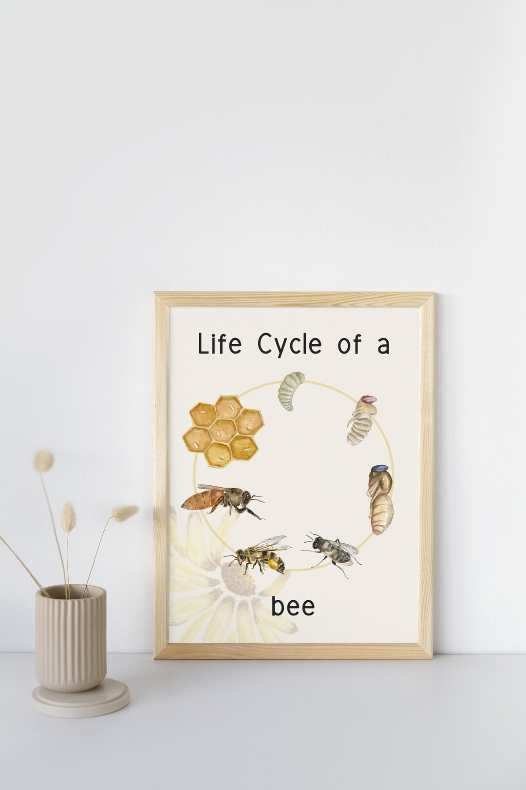 Life Cycle of a Bee Poster Early Years Learning Resource Digital ...