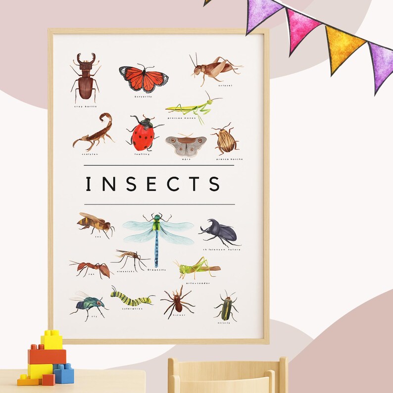 Insects Poster for Kids Printable for Classroom Decor Bug Themed ...