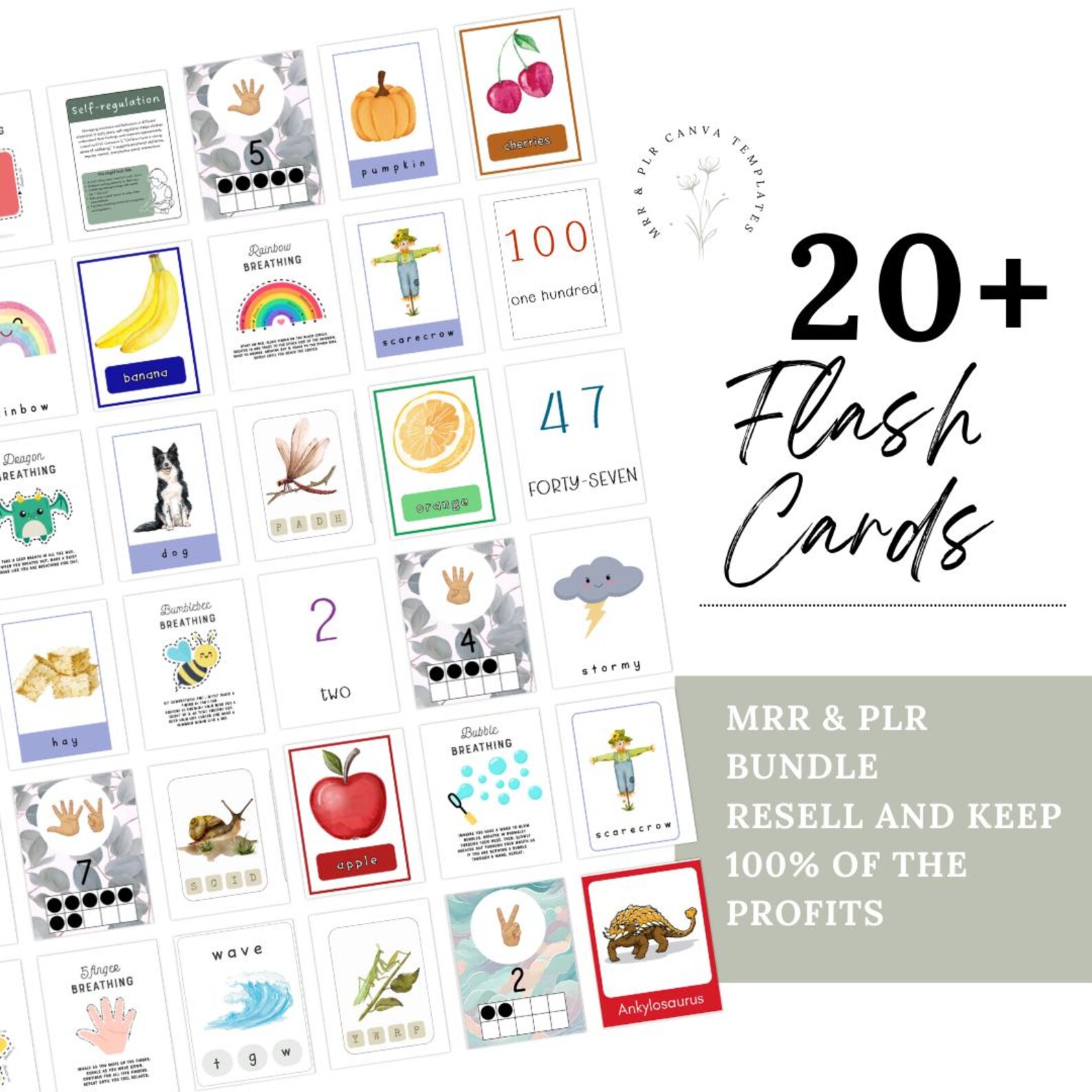 Printable Alphabet Number Flashcards: Customizable Learning Canva ...