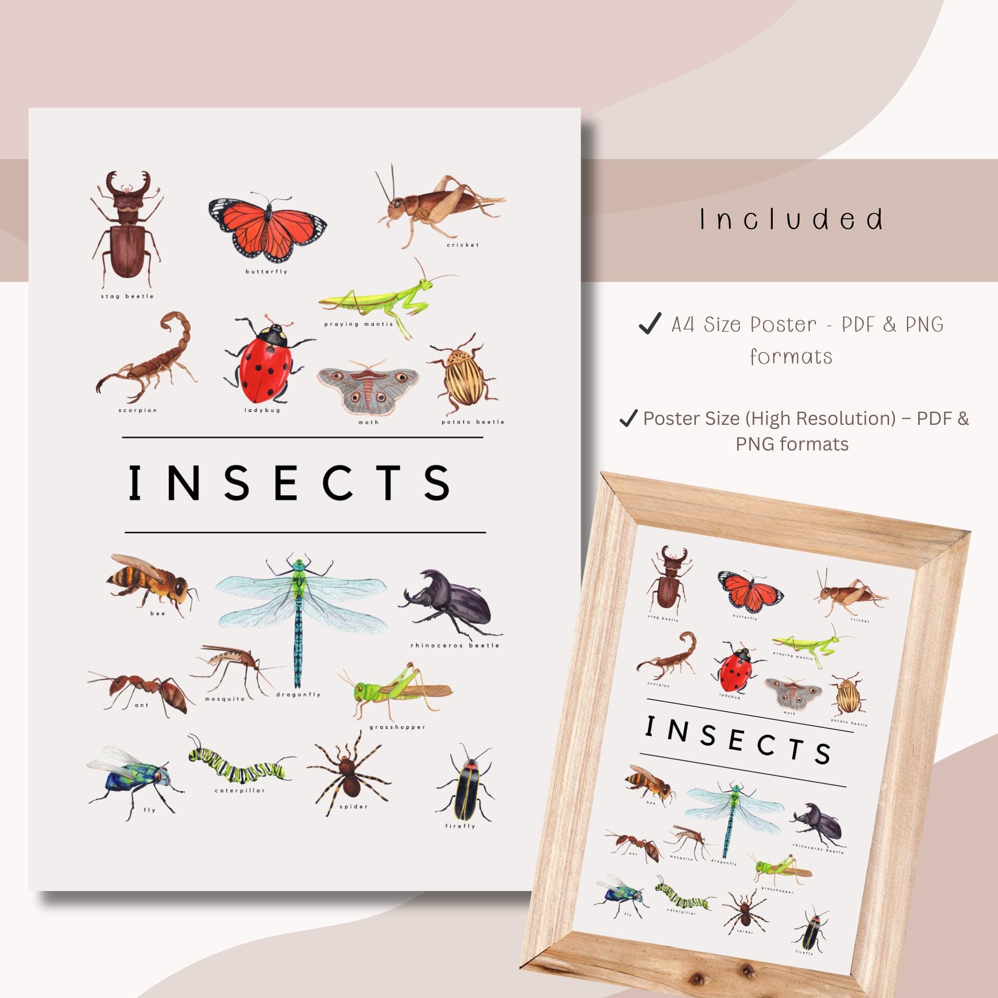 Insects Poster for Kids Printable for Classroom Decor Bug Themed ...