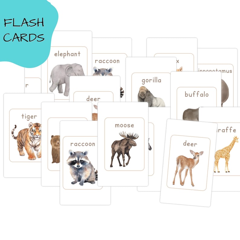 Wild Animal Flash Cards: Montessori Learning Printables (PDF) - Etsy