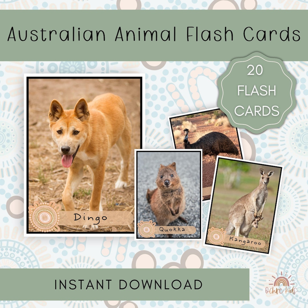 Australian Animal Flashcard Printable Download Classroom Resource ...