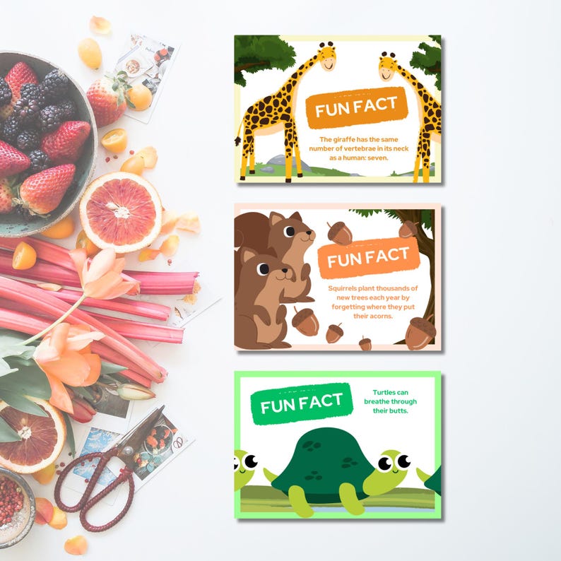 Lunchbox Cards With Fun Facts for Early Learners & Preschoolers ...
