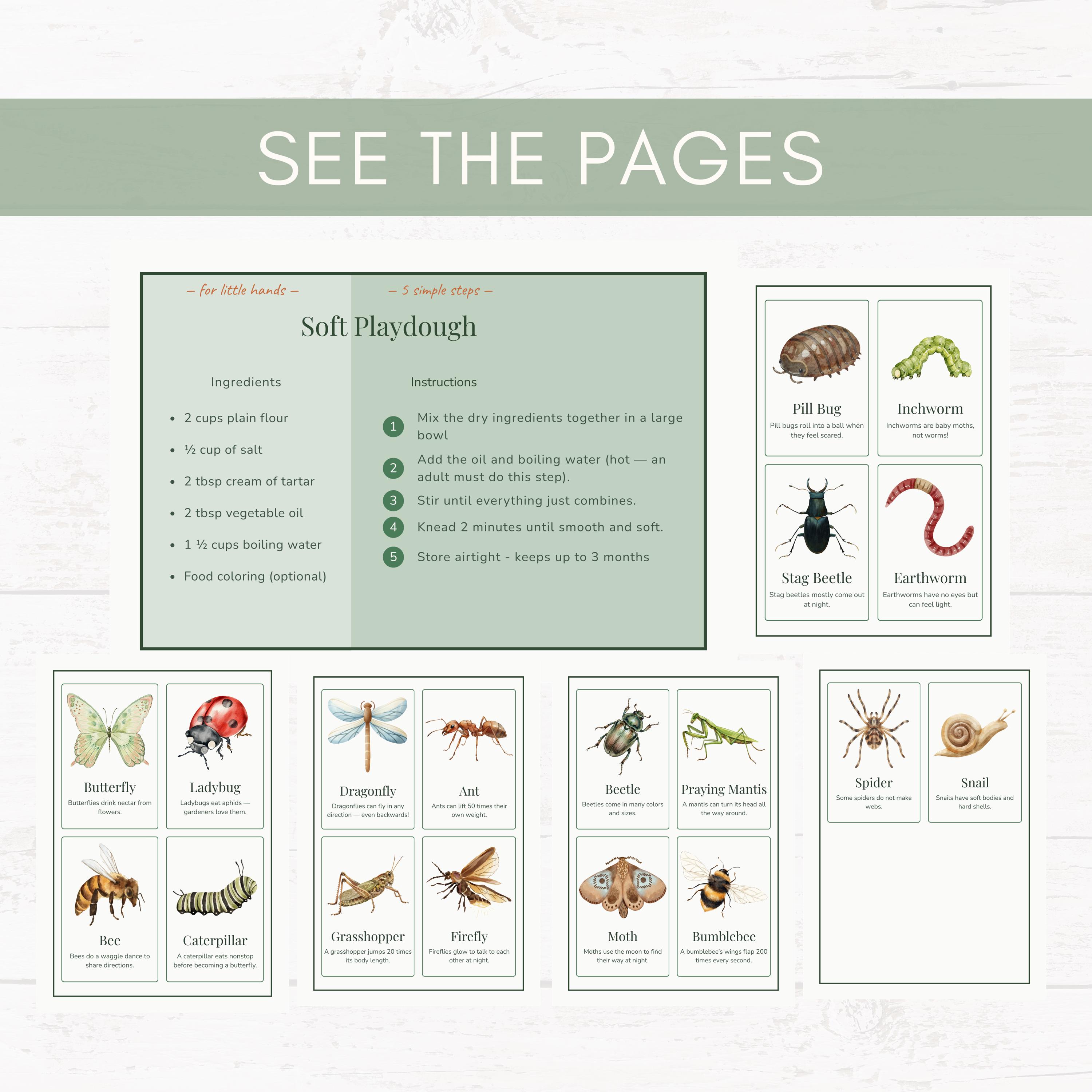 Insect Playdough Mats Printable, Bug Activities for Preschool, Insect ...