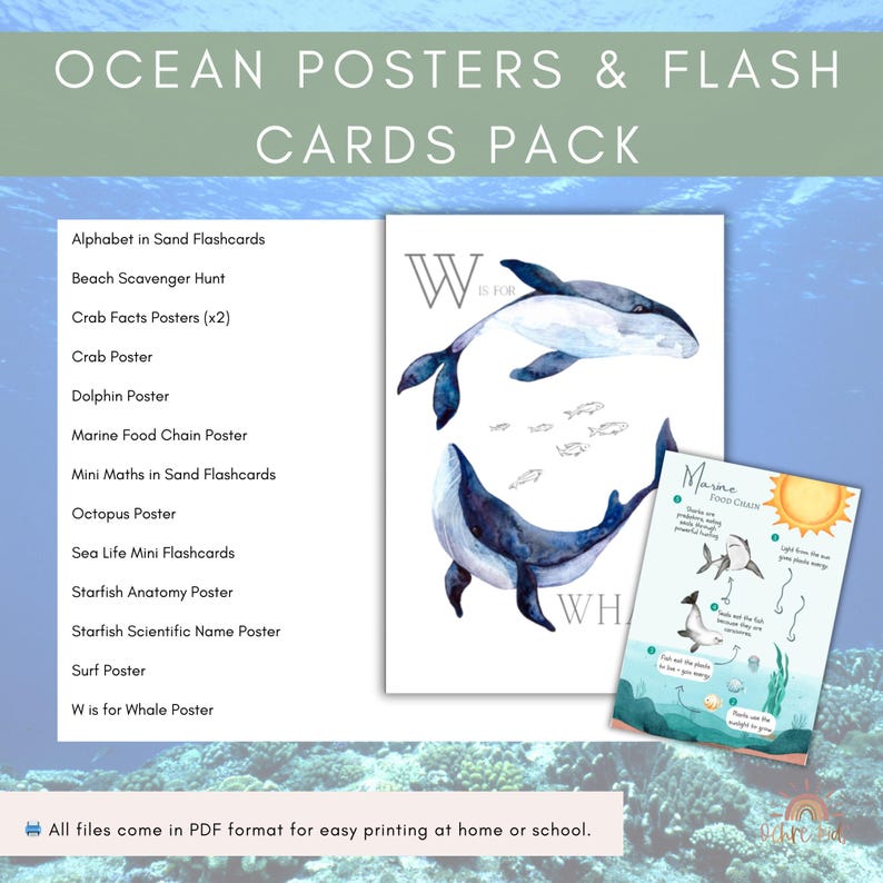 Ocean Learning Bundle | 200+ Pages Printables for Preschool ...
