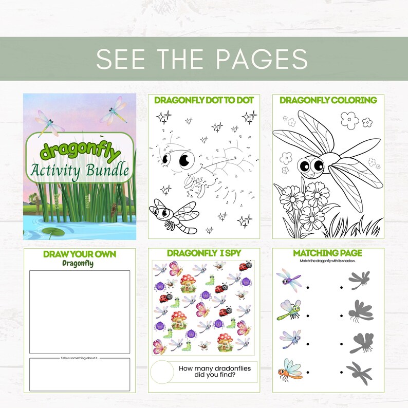 Printable Dragonfly Worksheets for Kids | Preschool Activity Pack ...
