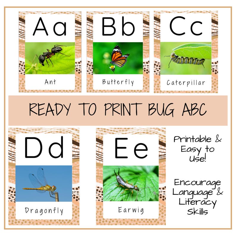 A-Z Insect & Bug Alphabet Flashcards – Natural Background | Montessori ...