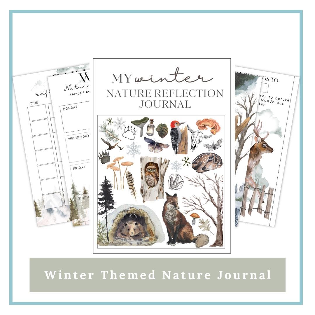 Winter Themed Observation Homeschool Printable Journal Seasonal Nature ...