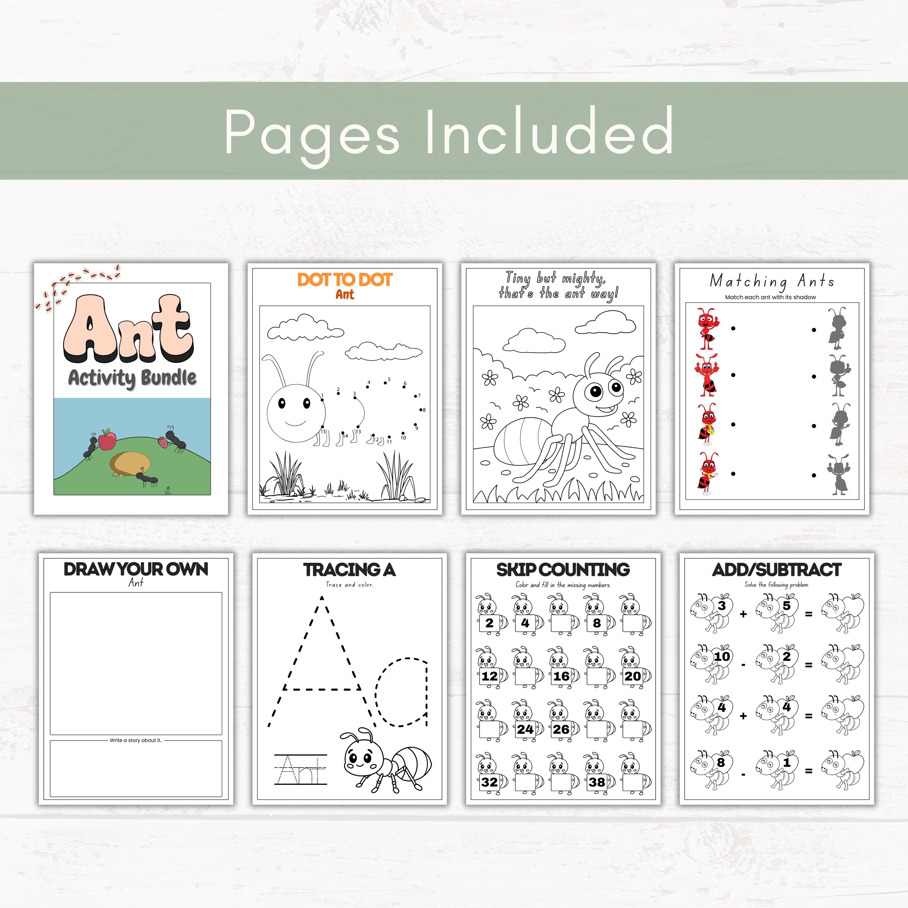 Ant Activity Bundle for Preschool & Kindergarten | Insect Unit ...
