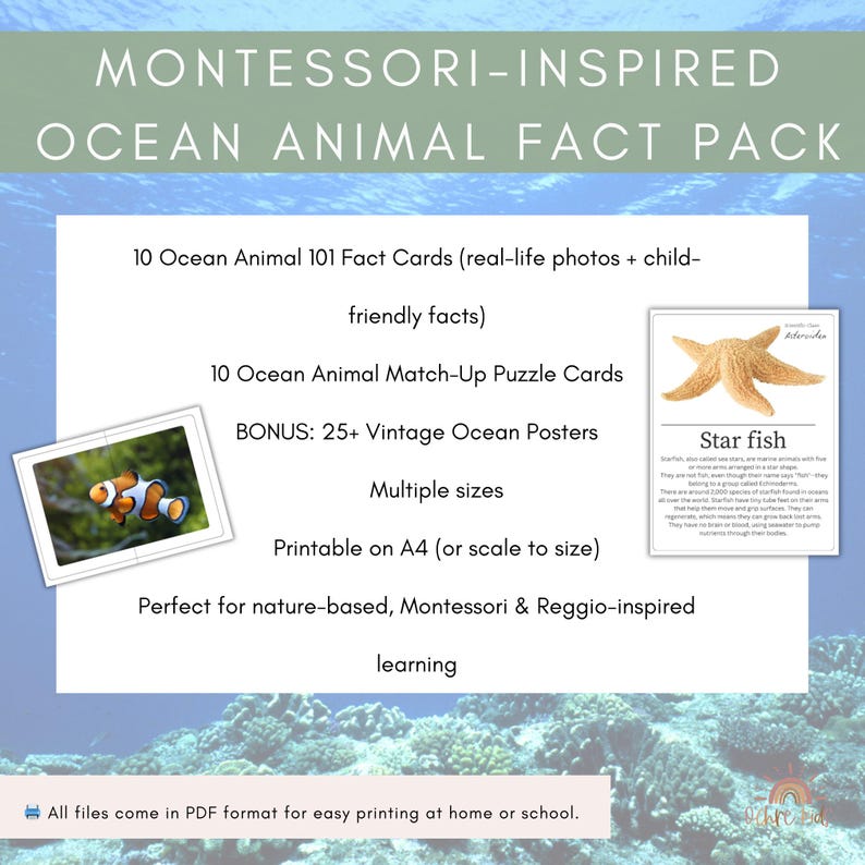Ocean Learning Bundle | 200+ Pages Printables for Preschool ...