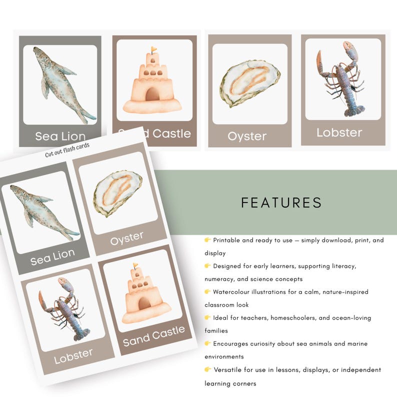 Ocean Posters & Flash Cards Pack | Sea Animal Facts, Early Learning ...