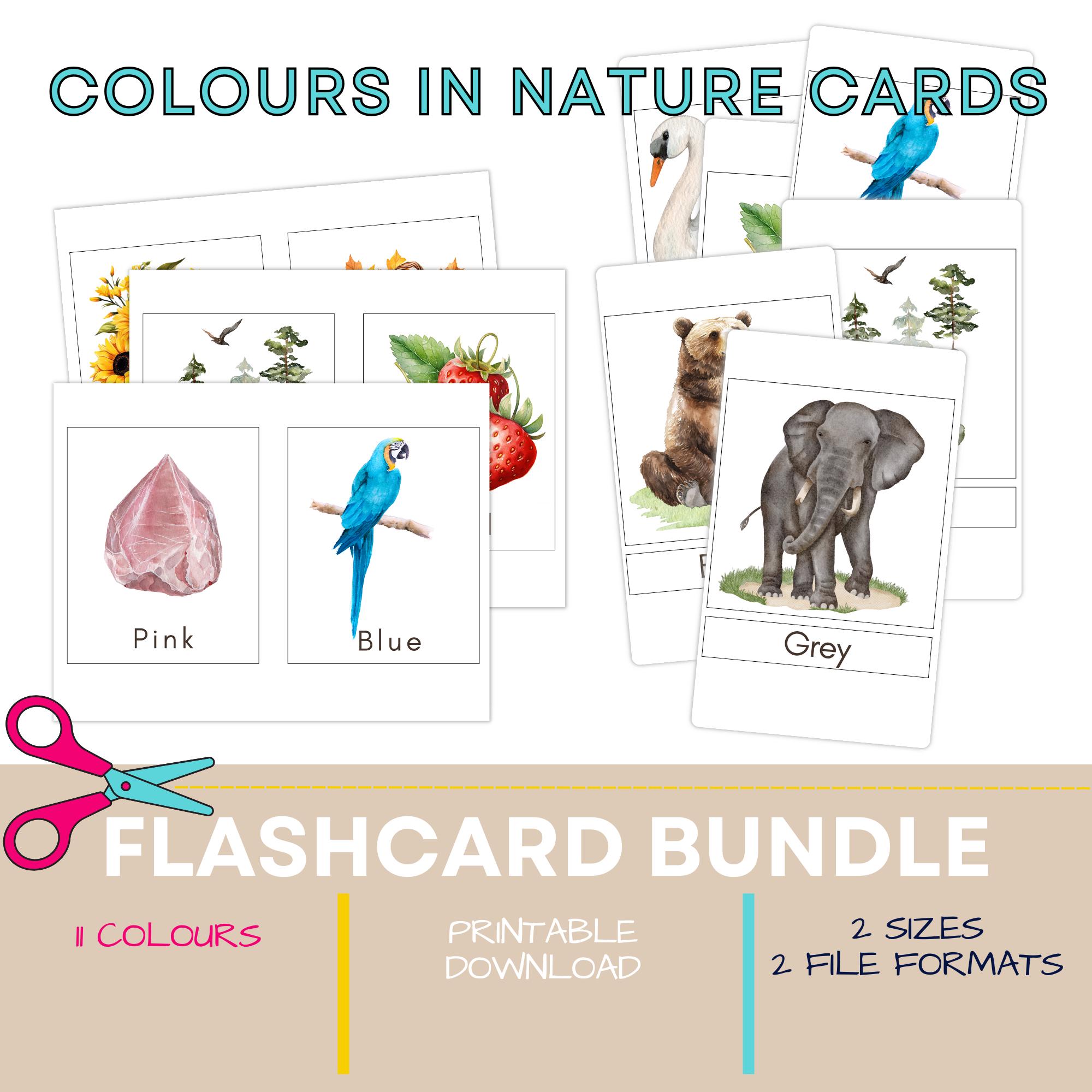 Editable Nature-themed Color Flashcards | Montessori Toddler Learning ...