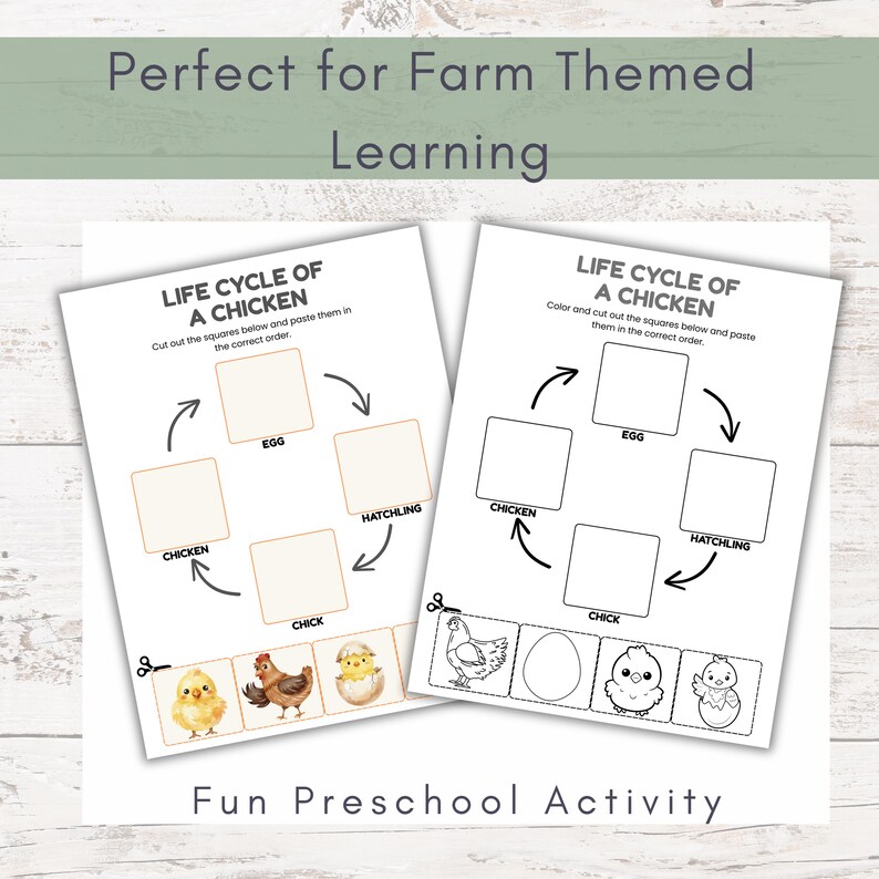 Chicken Life Cycle Printable Worksheets Farm Animal Science Unit Study ...