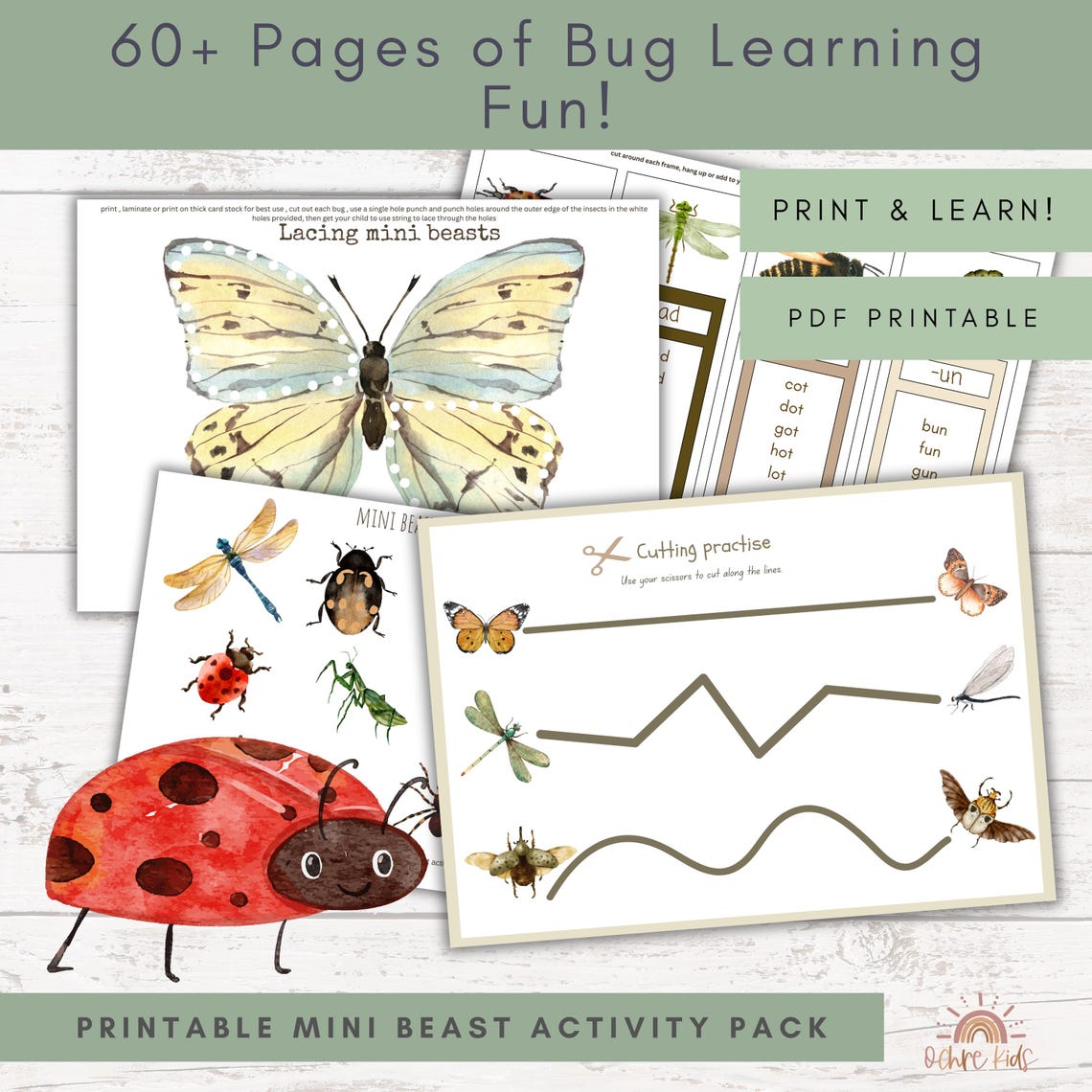 Mini Beast Printable Activity Booklet – Bug STEM Learning Pack for Kids ...