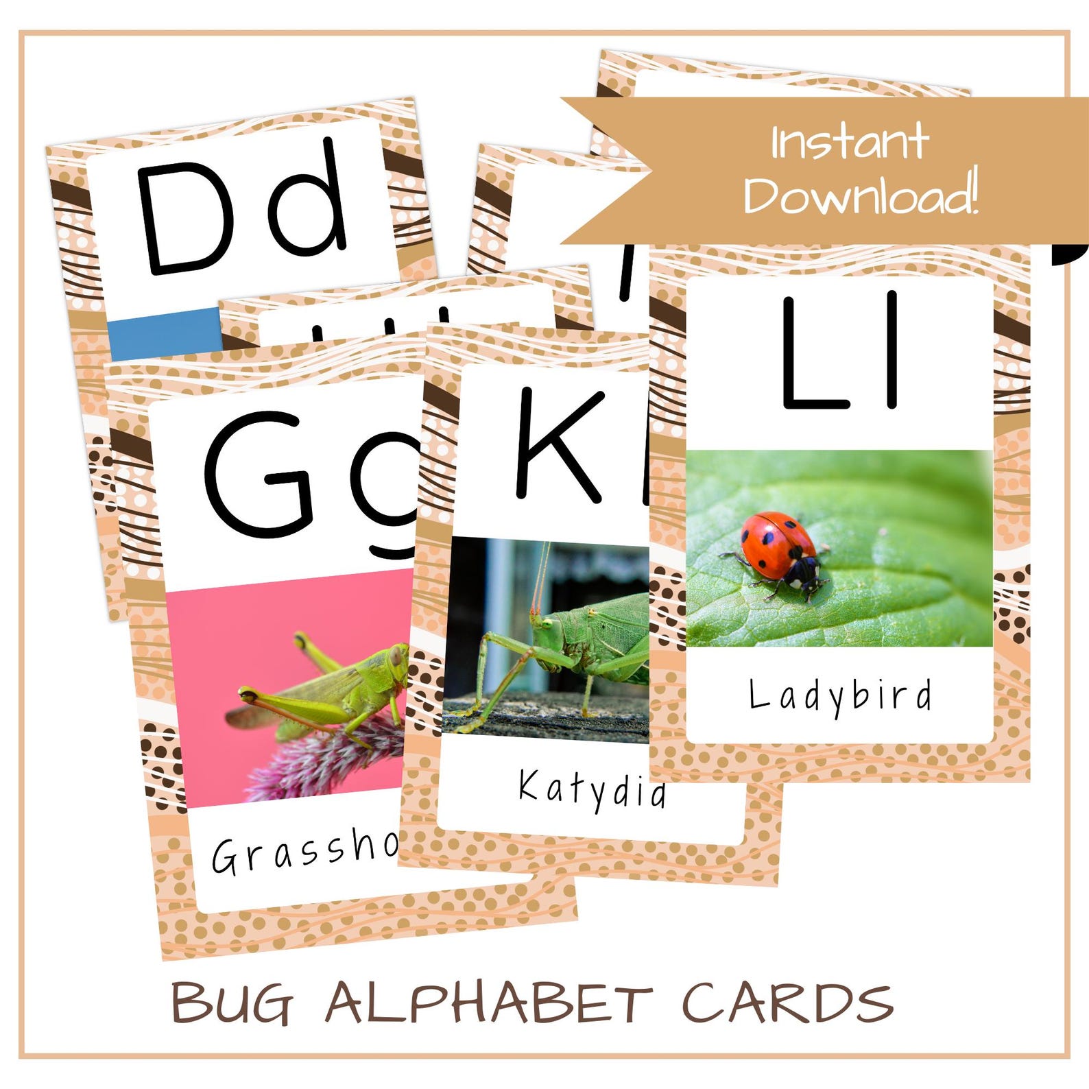 A-Z Insect & Bug Alphabet Flashcards – Natural Background | Montessori ...