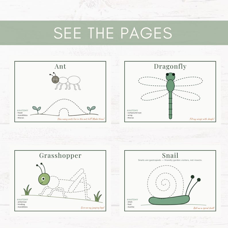 Insect Playdough Mats Printable, Bug Activities for Preschool, Insect ...