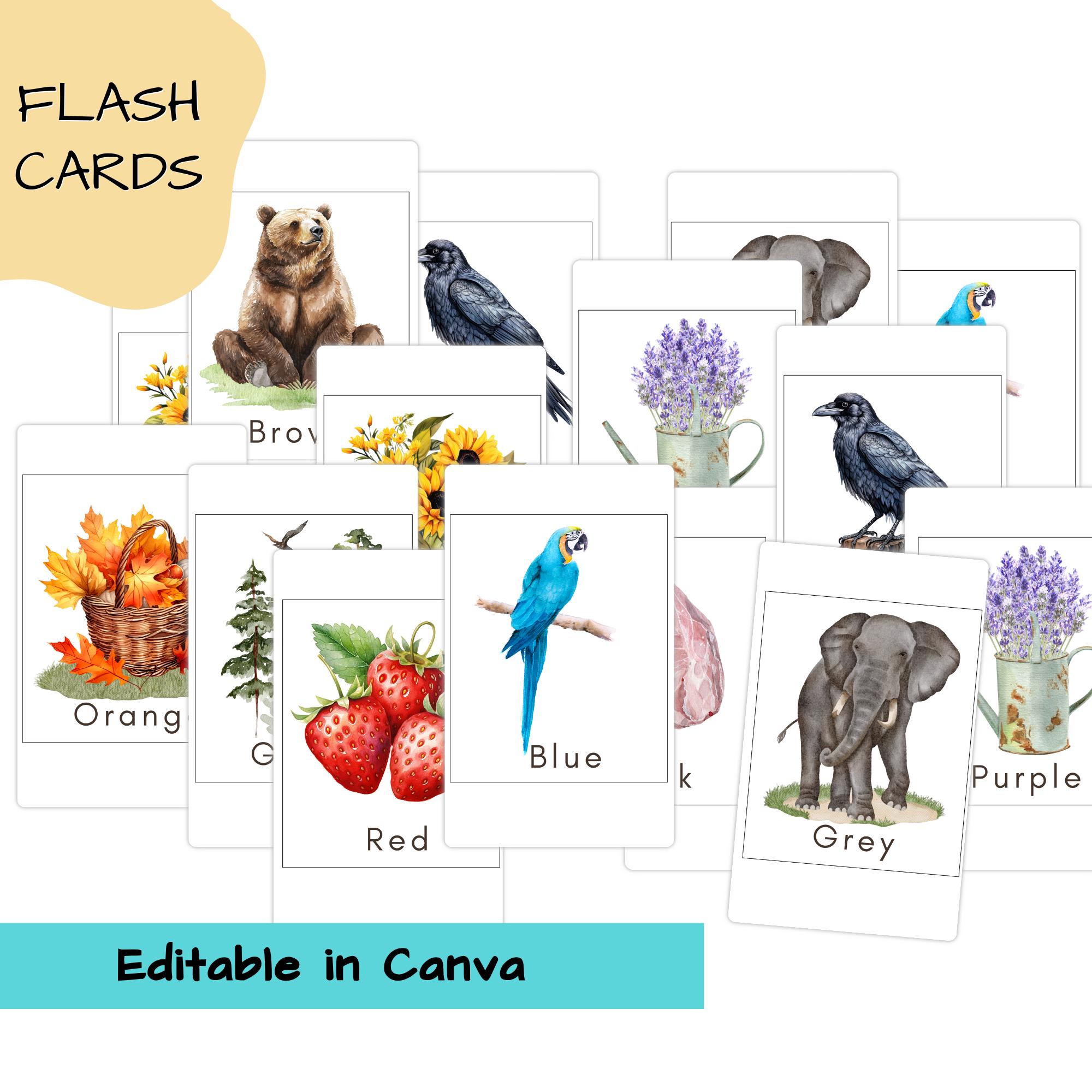 Editable Nature-themed Color Flashcards | Montessori Toddler Learning ...