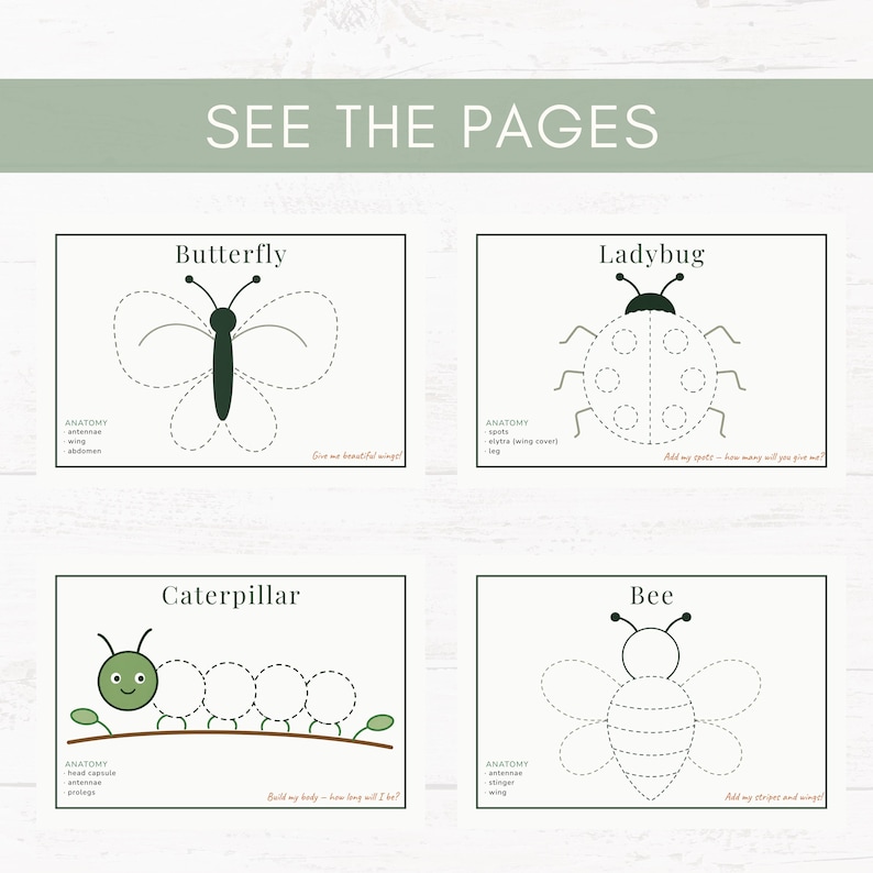 Insect Playdough Mats Printable, Bug Activities for Preschool, Insect ...