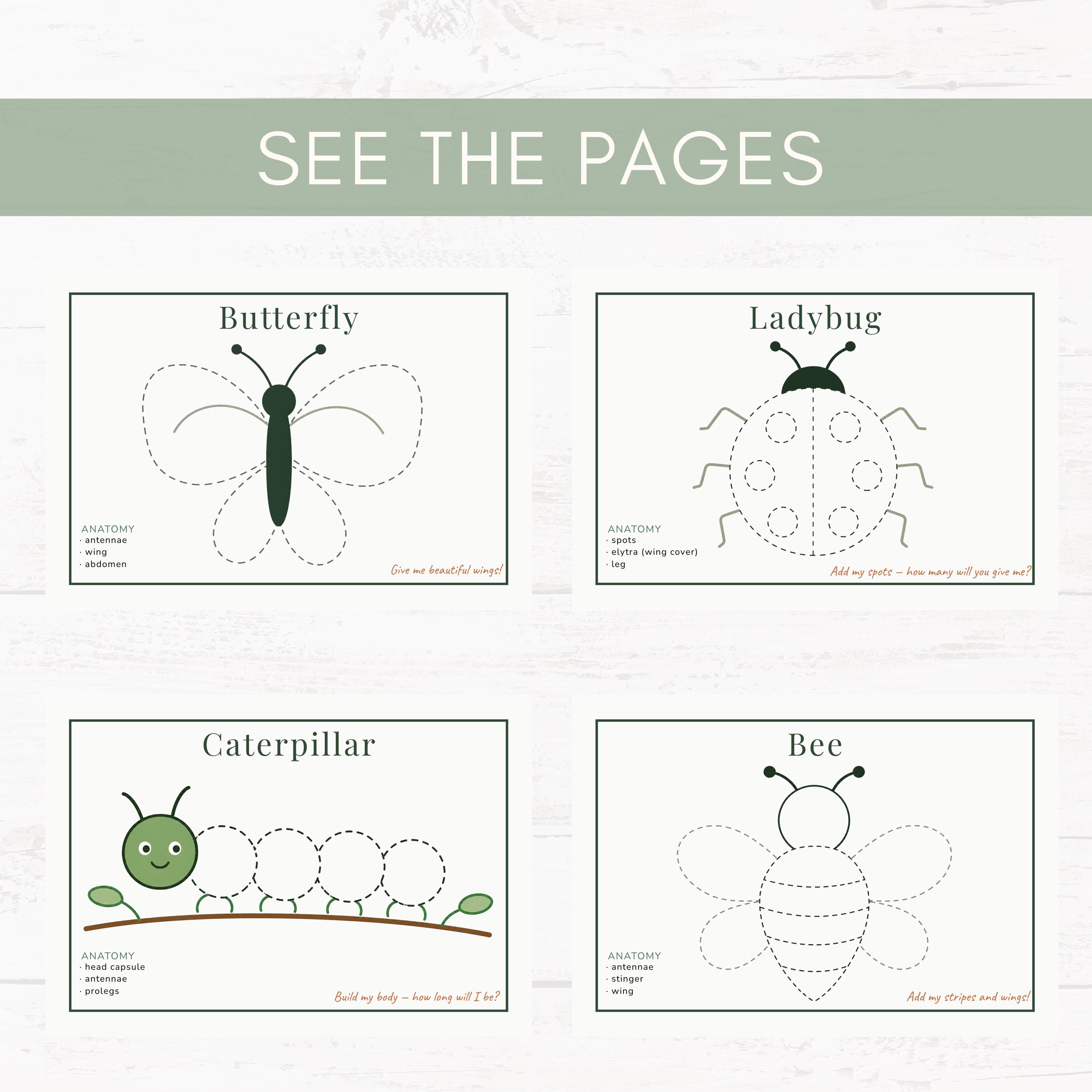 Insect Playdough Mats Printable, Bug Activities for Preschool, Insect ...