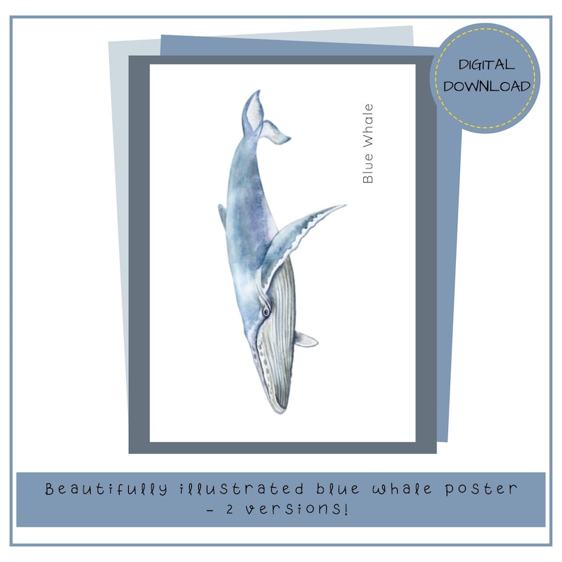Blue Whale Size Chart and Ocean Animal Posters – Montessori Science ...