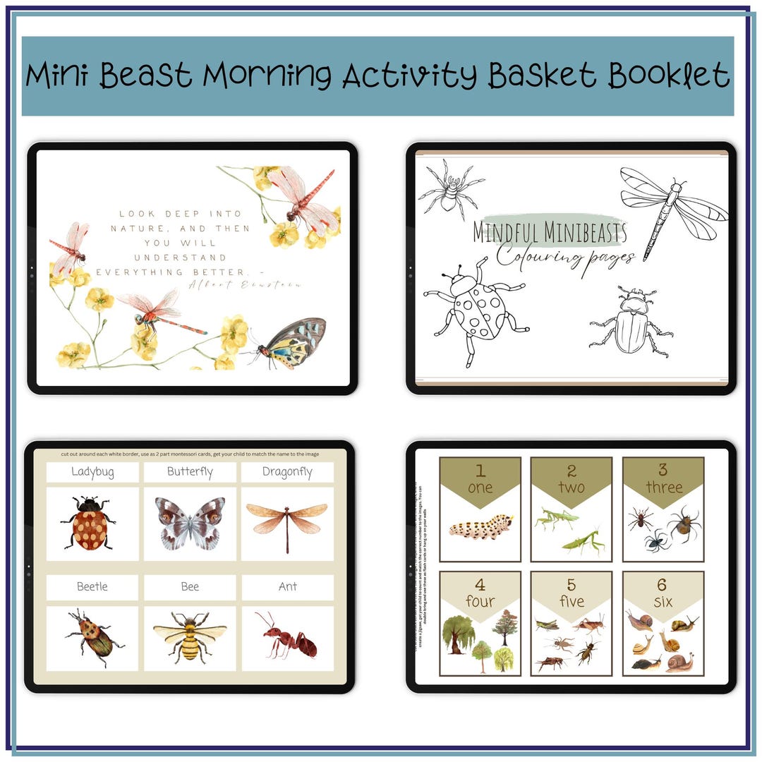 Bug and Insect Themed Preschool Printable Worksheet Booklet Mini Beast ...
