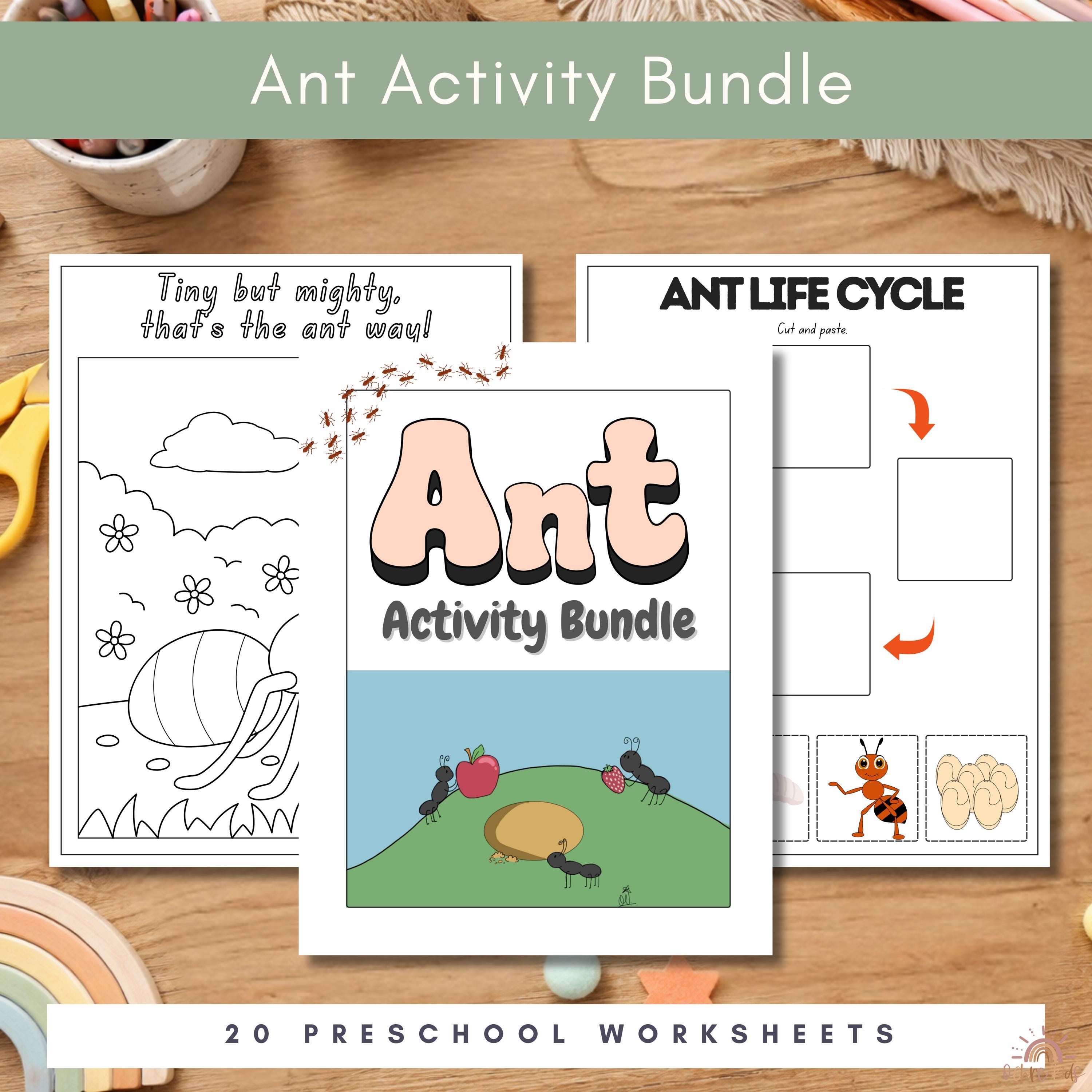 Ant Activity Bundle for Preschool & Kindergarten | Insect Unit ...