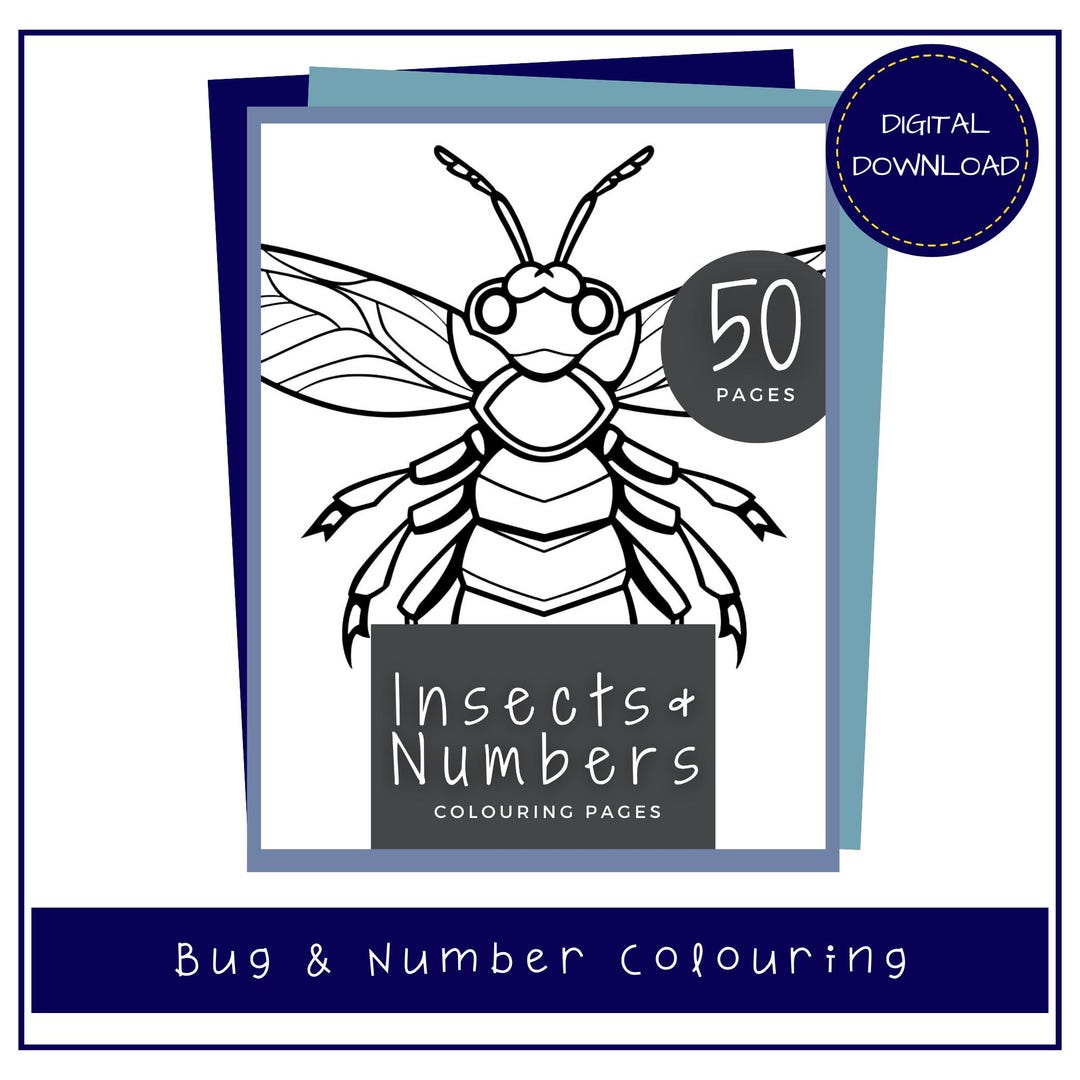 Bug Themed Educational Numeracy Practice Colouring Book, Preschool ...