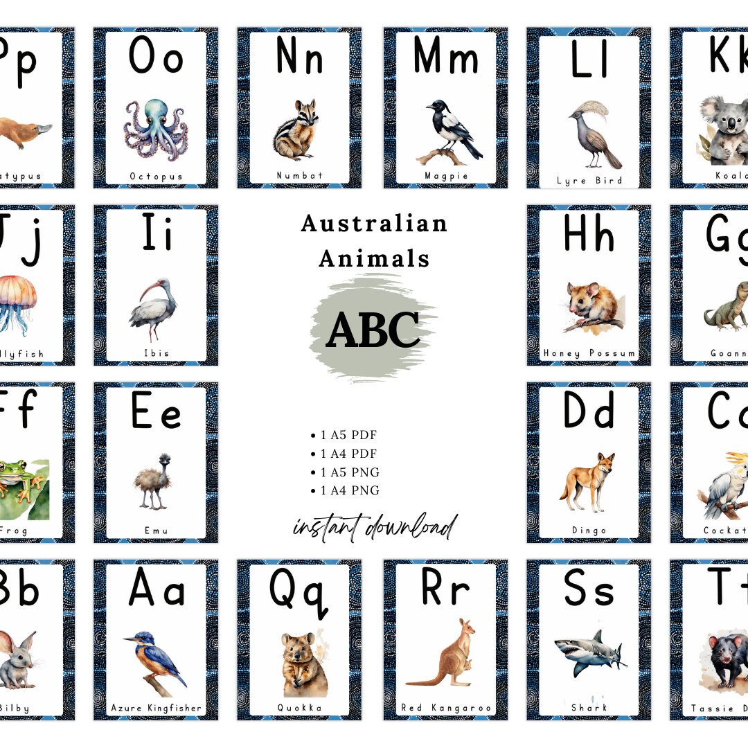 AUSTRALIAN ANIMAL ABC Posters Vibrant Classroom Decor Australian Animal ...