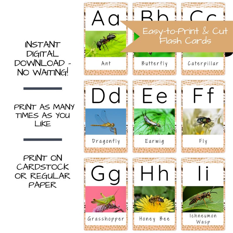Insect Alphabet Flashcards: Montessori Preschool Learning (digital ...