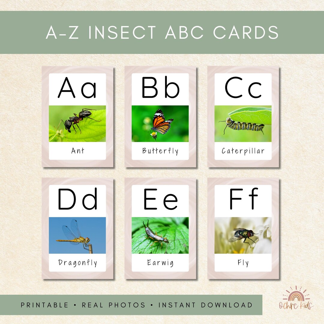 Insect Alphabet Flashcards A–Z | Bug ABC Cards for Preschool ...