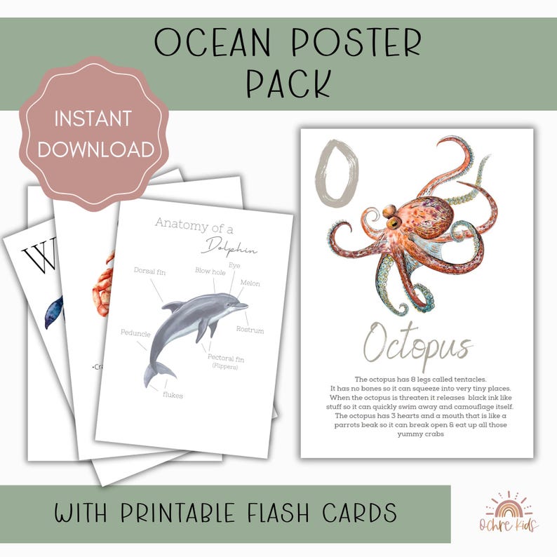 Ocean Posters & Flash Cards Pack | Sea Animal Facts, Early Learning ...