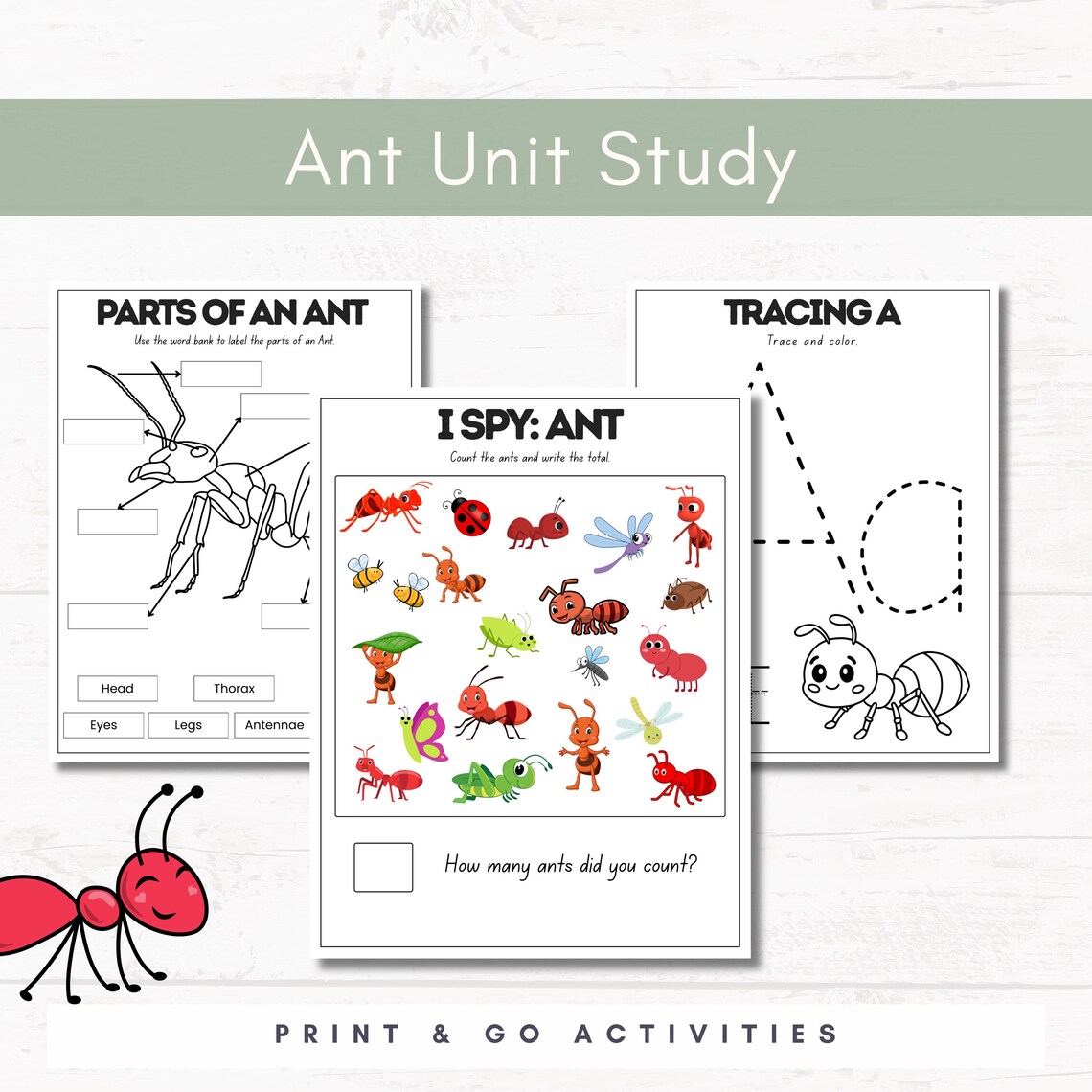 Ant Activity Bundle for Preschool & Kindergarten | Insect Unit ...