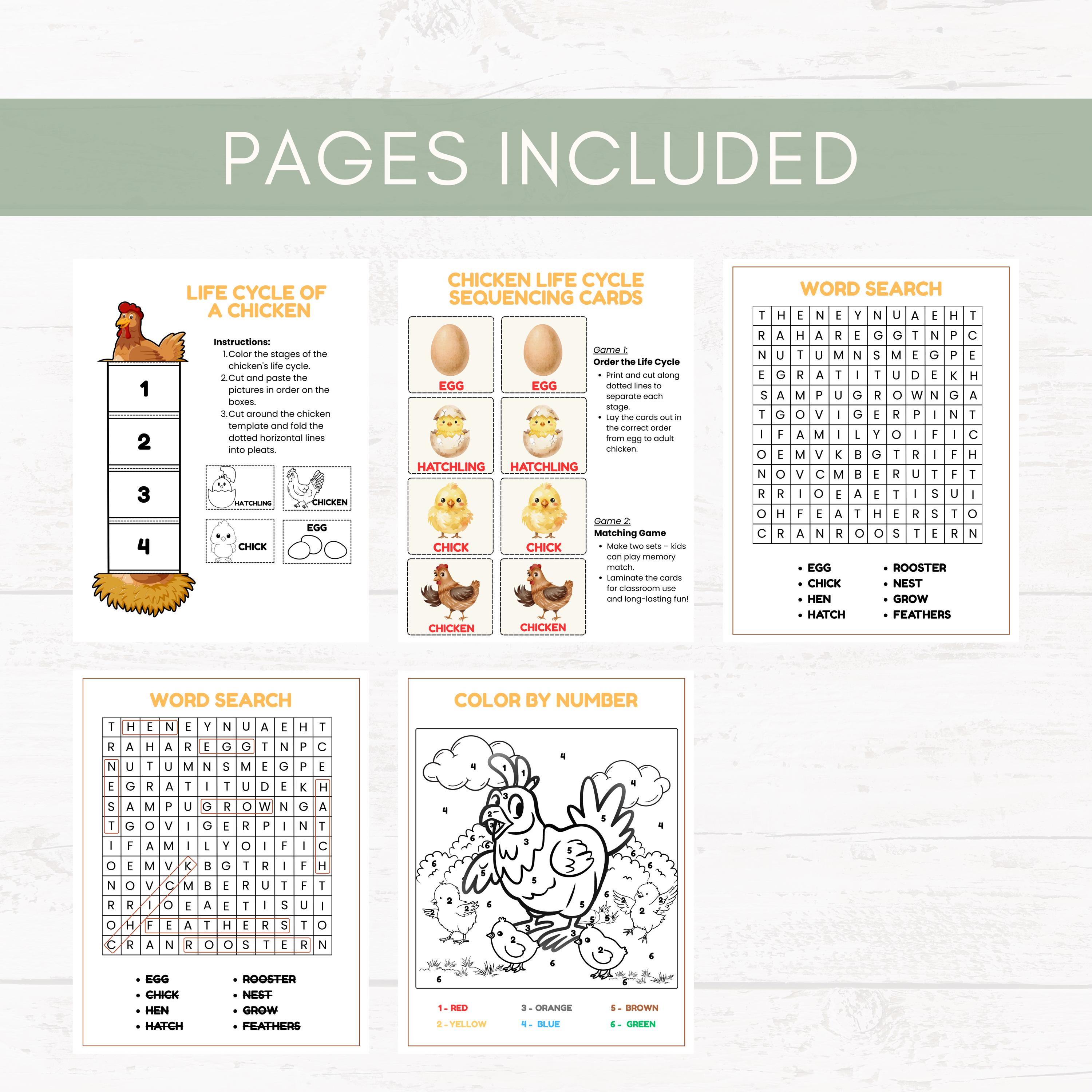 Chicken Life Cycle Printable Worksheets Farm Animal Science Unit Study ...