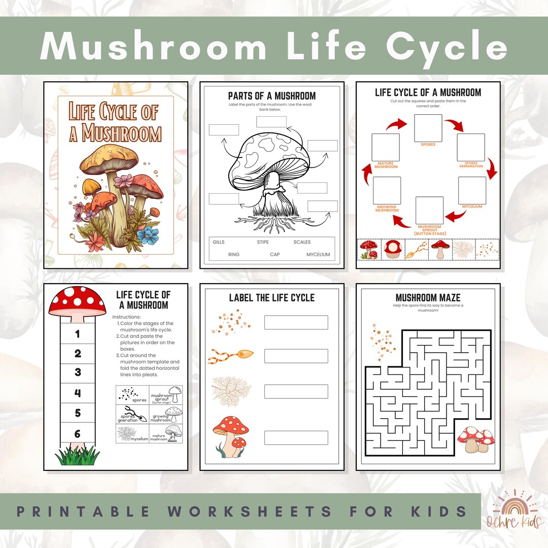 Mushroom Life Cycle Worksheets for Kids | Printable Science Activity ...