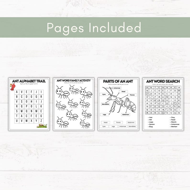 Ant Activity Bundle for Preschool & Kindergarten | Insect Unit ...