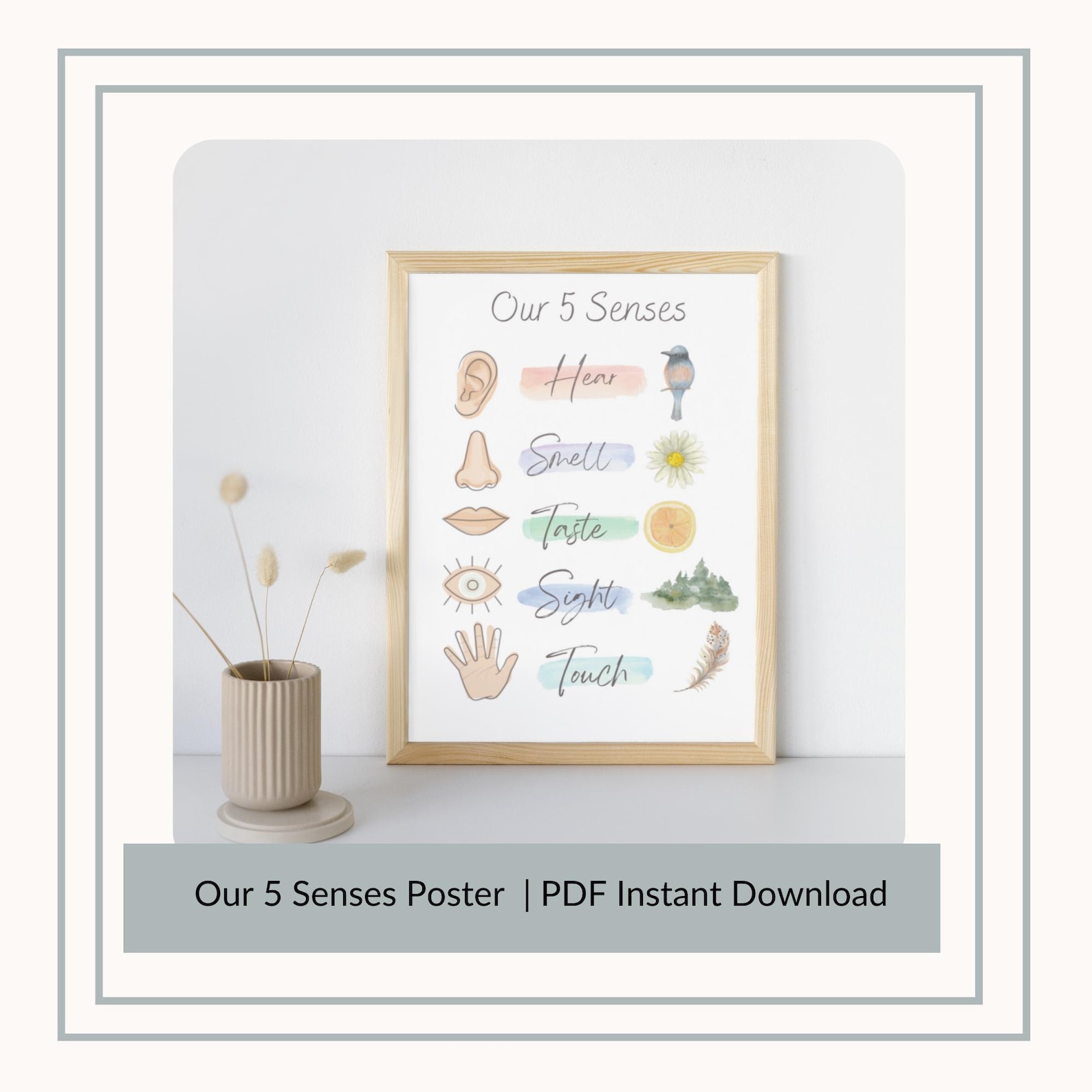 5 Senses Poster, Instant Download, PDF, EYLF Educational Resource - Etsy