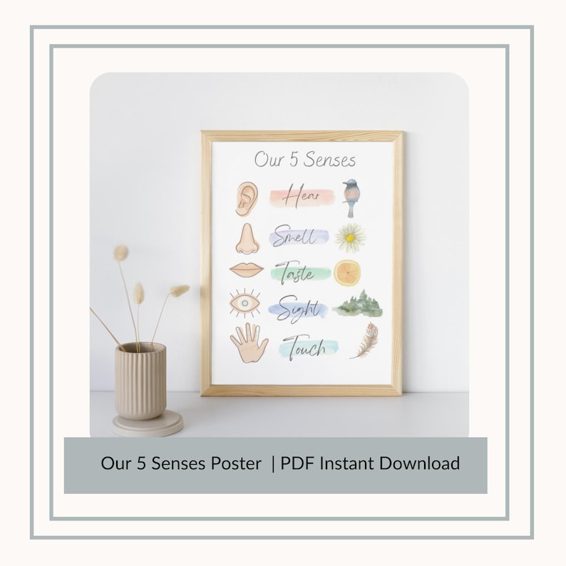 5 Senses Poster, Instant Download, PDF, EYLF Educational Resource ...