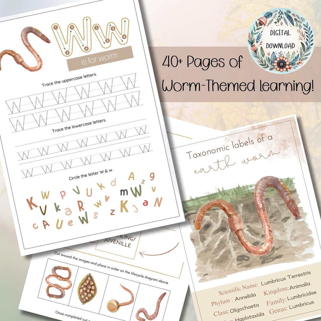Earthworm Unit Study: Homeschool Science, Anatomy & Lifecycle ...